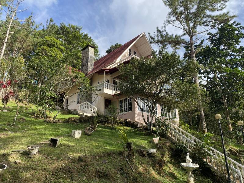 BOYD'S REALTY | Bienes Raíces en Panamá